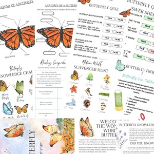 Butterfly Unit Study | Homeschooling | Nature Study | Lifecycle ...