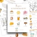 Honey Bees Unit Study | Life Cycle | Bees | Anatomy | Nature Study ...