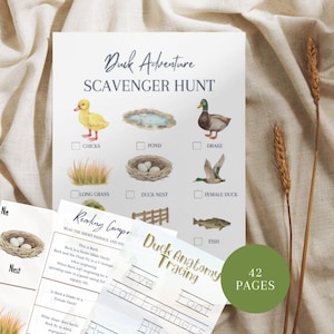 DUCK Unit Study| Life Cycle| Anatomy| Nature Study | Science ...