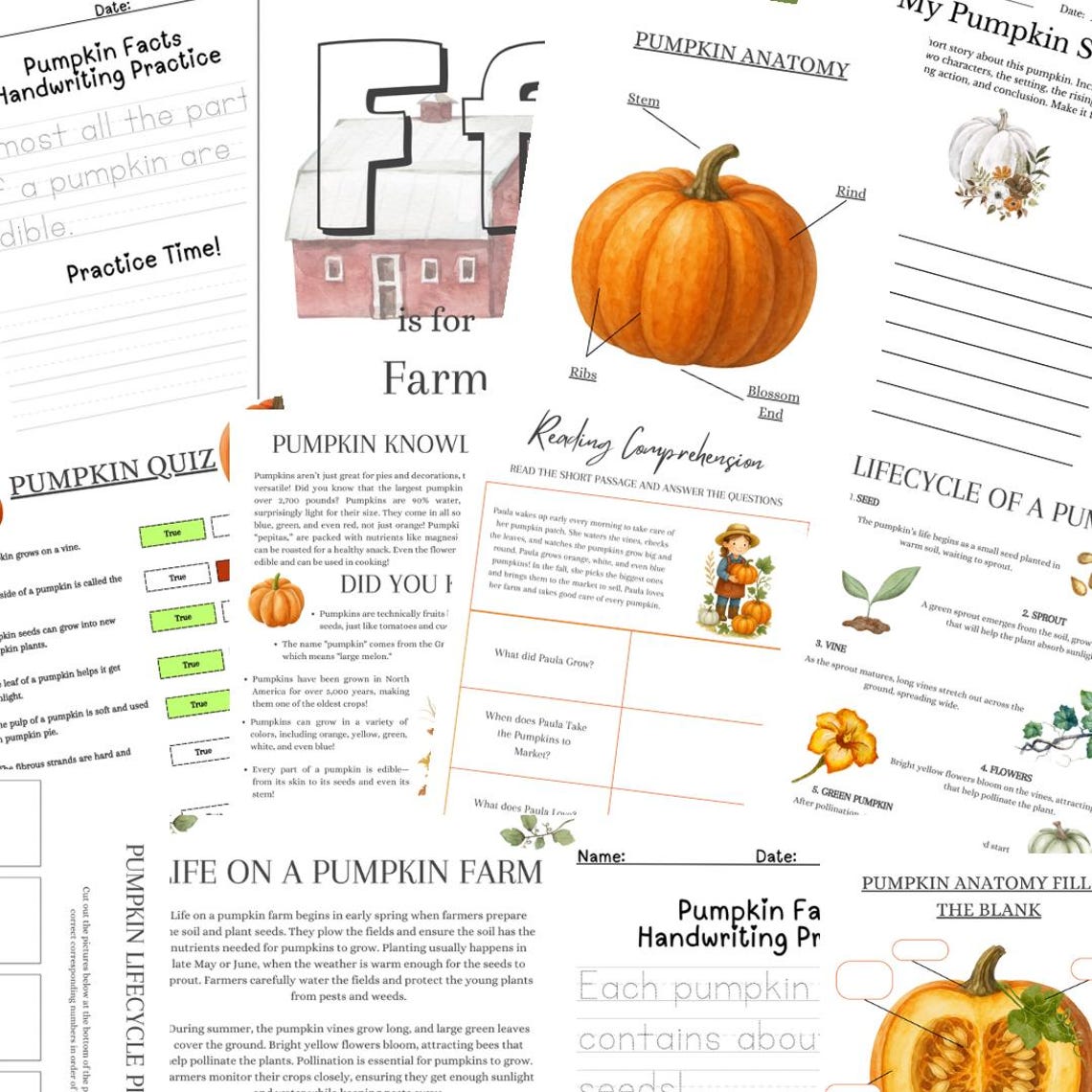 Pumpkin Unit Study | Fall Themed Printable Activities for Grades Pre-k ...