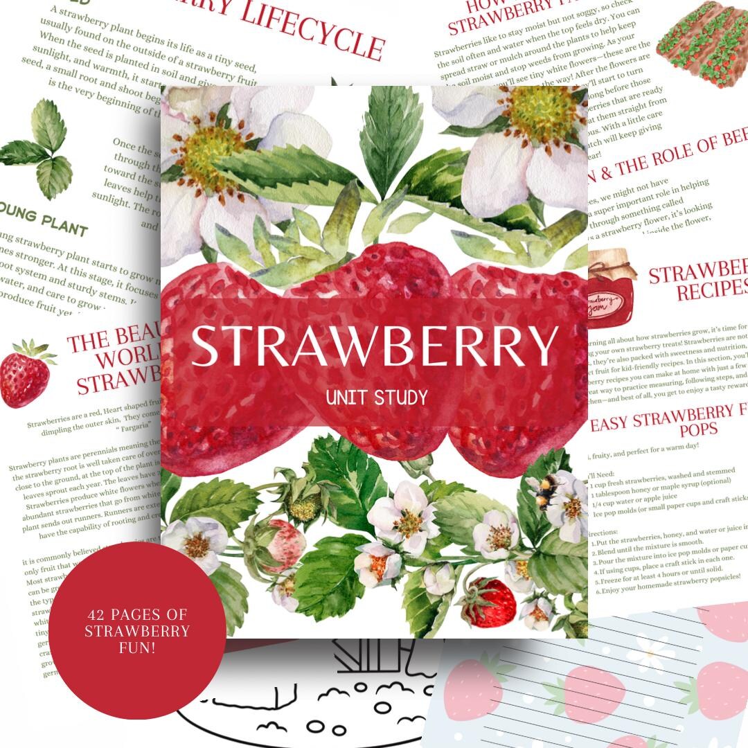 Strawberry Unit Study | 42-page Printable Homeschool Curriculum ...