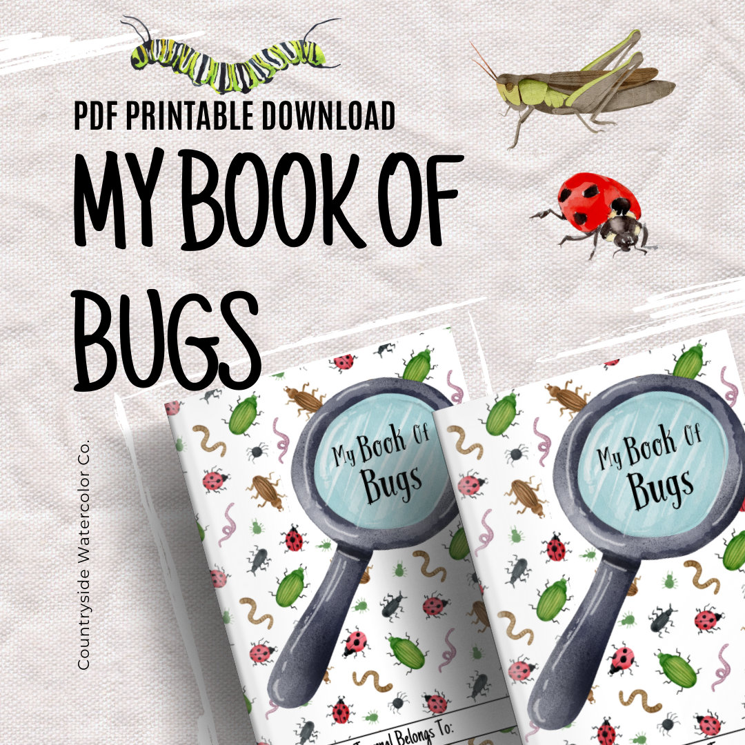 My Book of Bugs | Printable PDF | Education & Exploring | Homeschooling ...