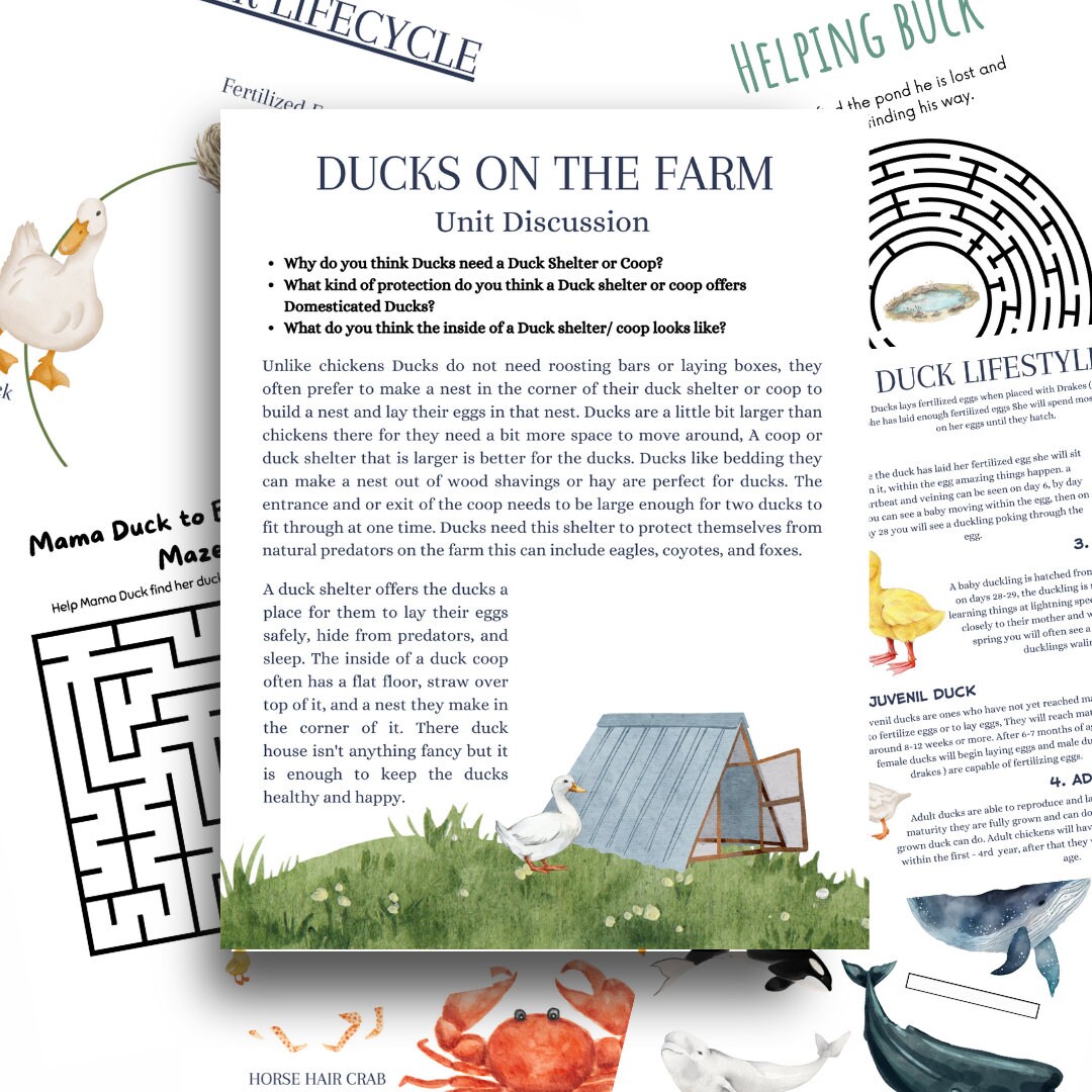 DUCK Unit Study| Life Cycle| Anatomy| Nature Study | Science ...