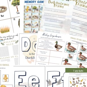 DUCK Unit Study| Life Cycle| Anatomy| Nature Study | Science ...