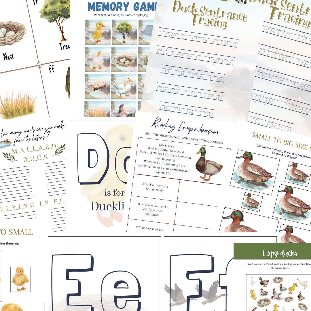 DUCK Unit Study| Life Cycle| Anatomy| Nature Study | Science ...