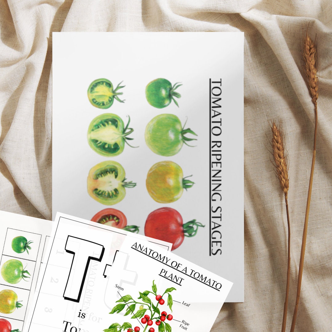 TOMATO Unit Study | Life Cycle | Anatomy | Nature Study | Science ...