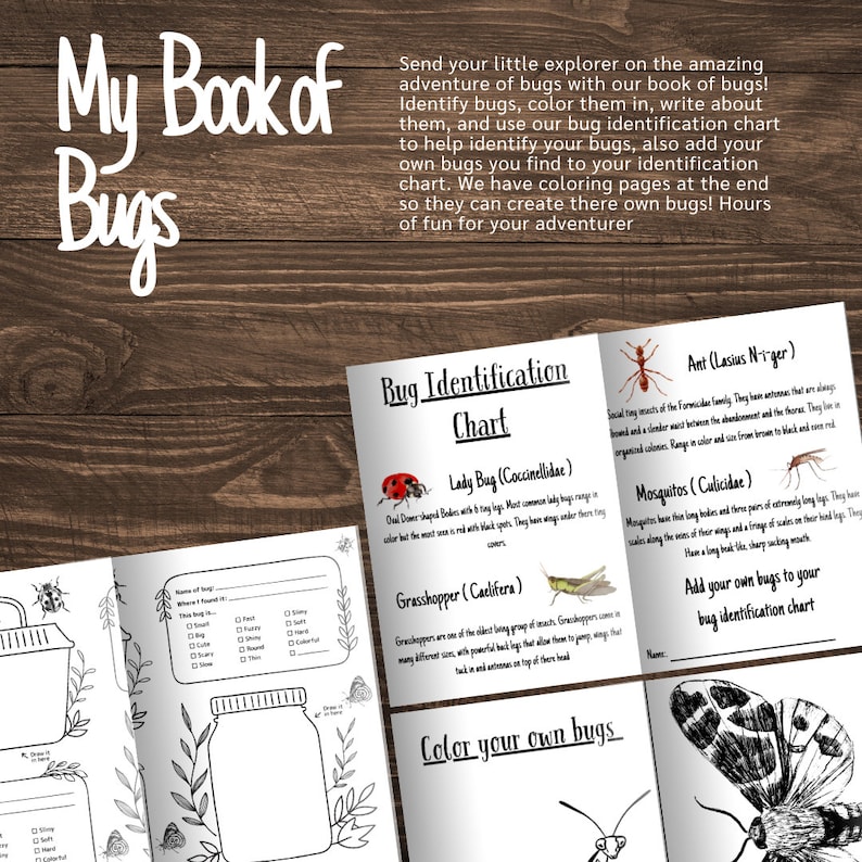 My Book of Bugs | Printable PDF | Education & Exploring | Homeschooling ...