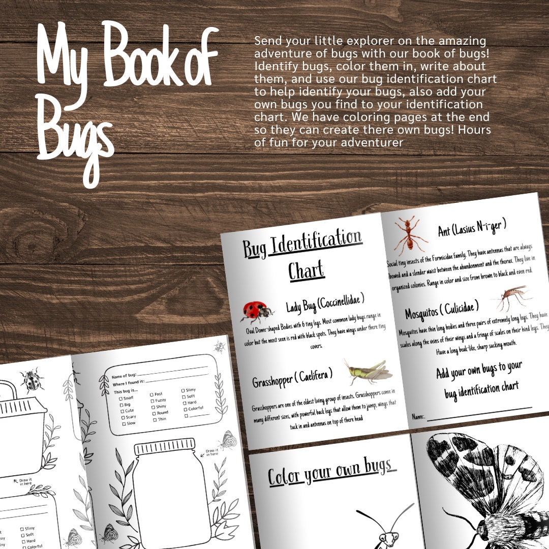 My Book of Bugs | Printable PDF | Education & Exploring | Homeschooling ...
