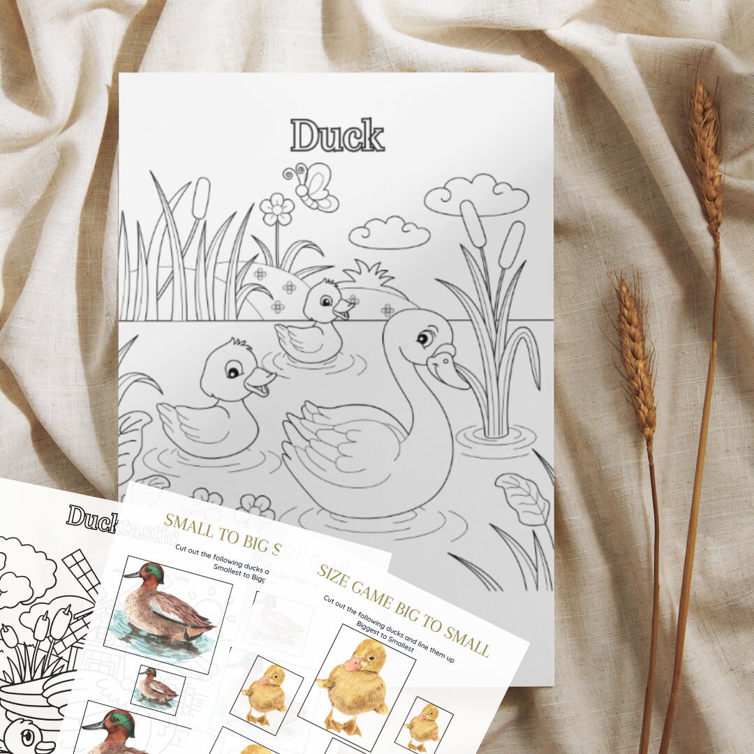 DUCK Unit Study| Life Cycle| Anatomy| Nature Study | Science ...