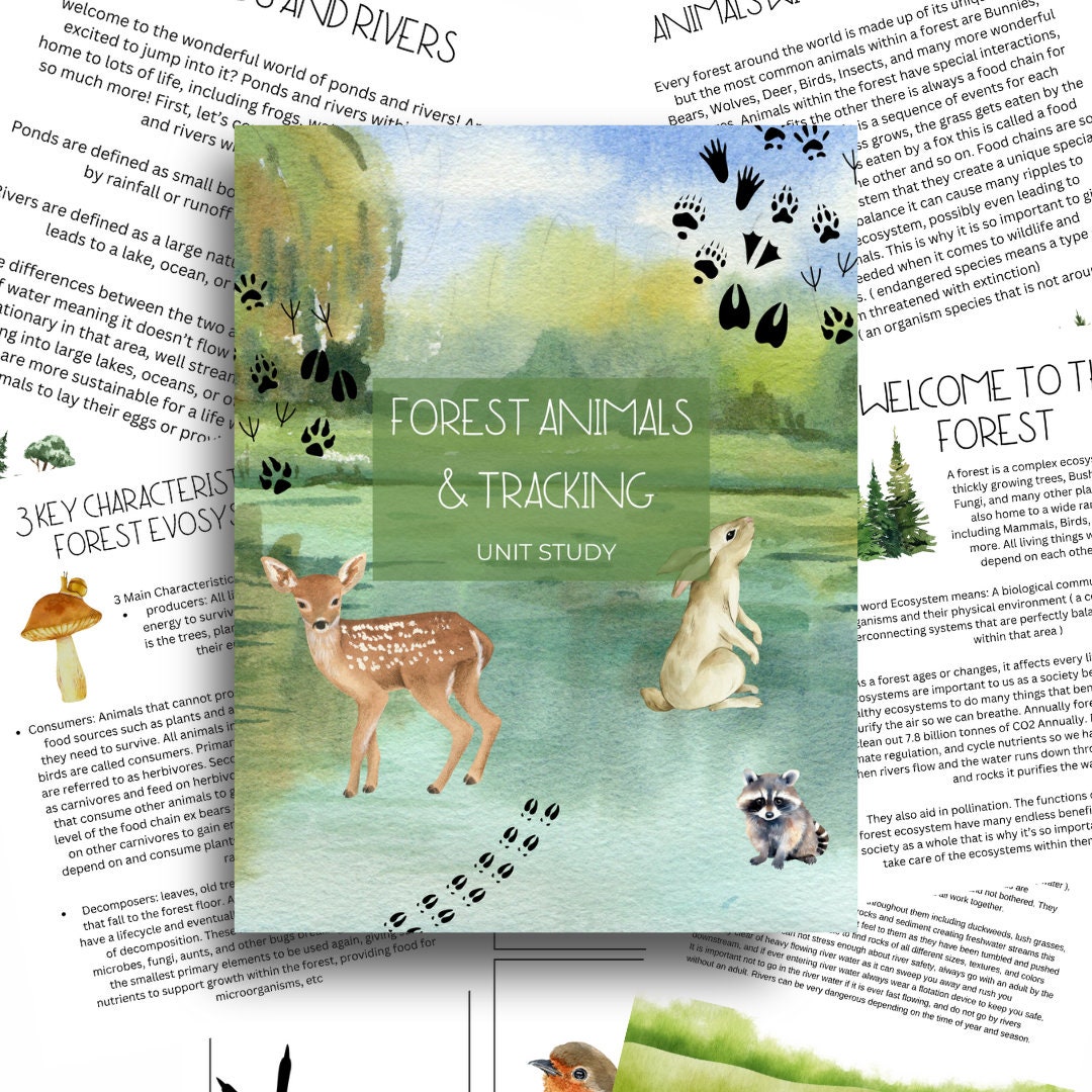 Forest Animal & Animal Tracks Unit Study | Educational | Homeschool ...