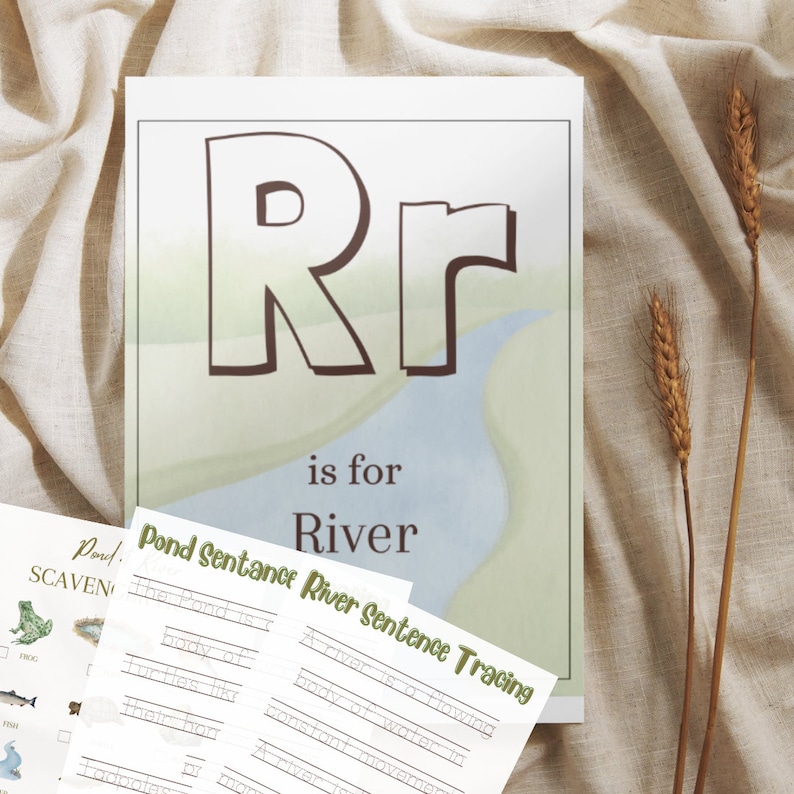 Forest Animal & Animal Tracks Unit Study | Educational | Homeschool ...