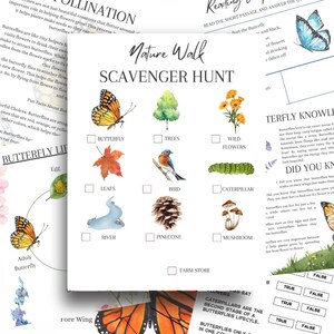 Butterfly Unit Study | Homeschooling | Nature Study | Lifecycle ...