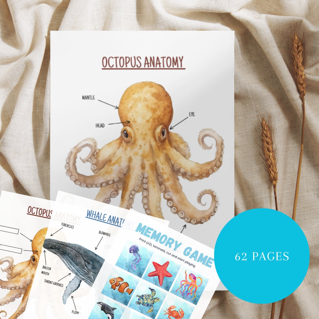 Ocean Unit Study Nature School Educational Printable Homeschool ...
