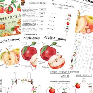 Apple Orchard Unit Study Printable | Fun & Educational Activities for ...