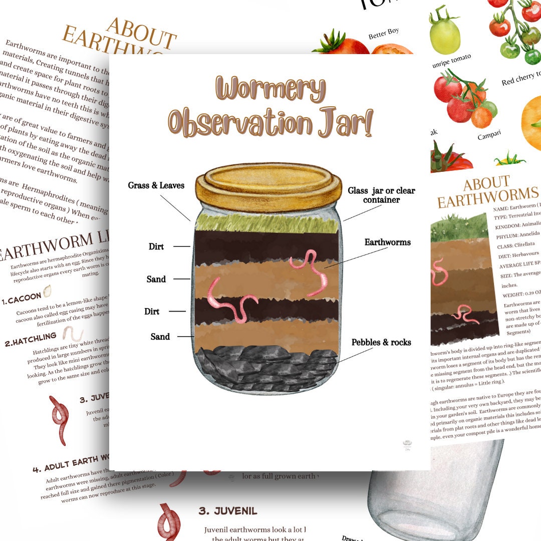 Earthworm Unit Study | Nature Study | Homeschool | Education ...