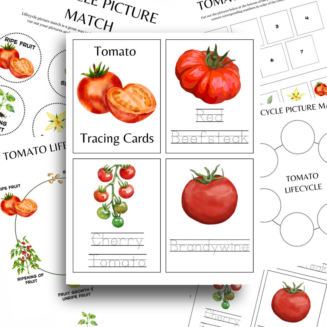 TOMATO Unit Study | Life Cycle | Anatomy | Nature Study | Science ...