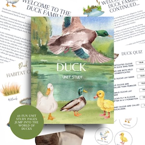 DUCK Unit Study| Life Cycle| Anatomy| Nature Study | Science ...