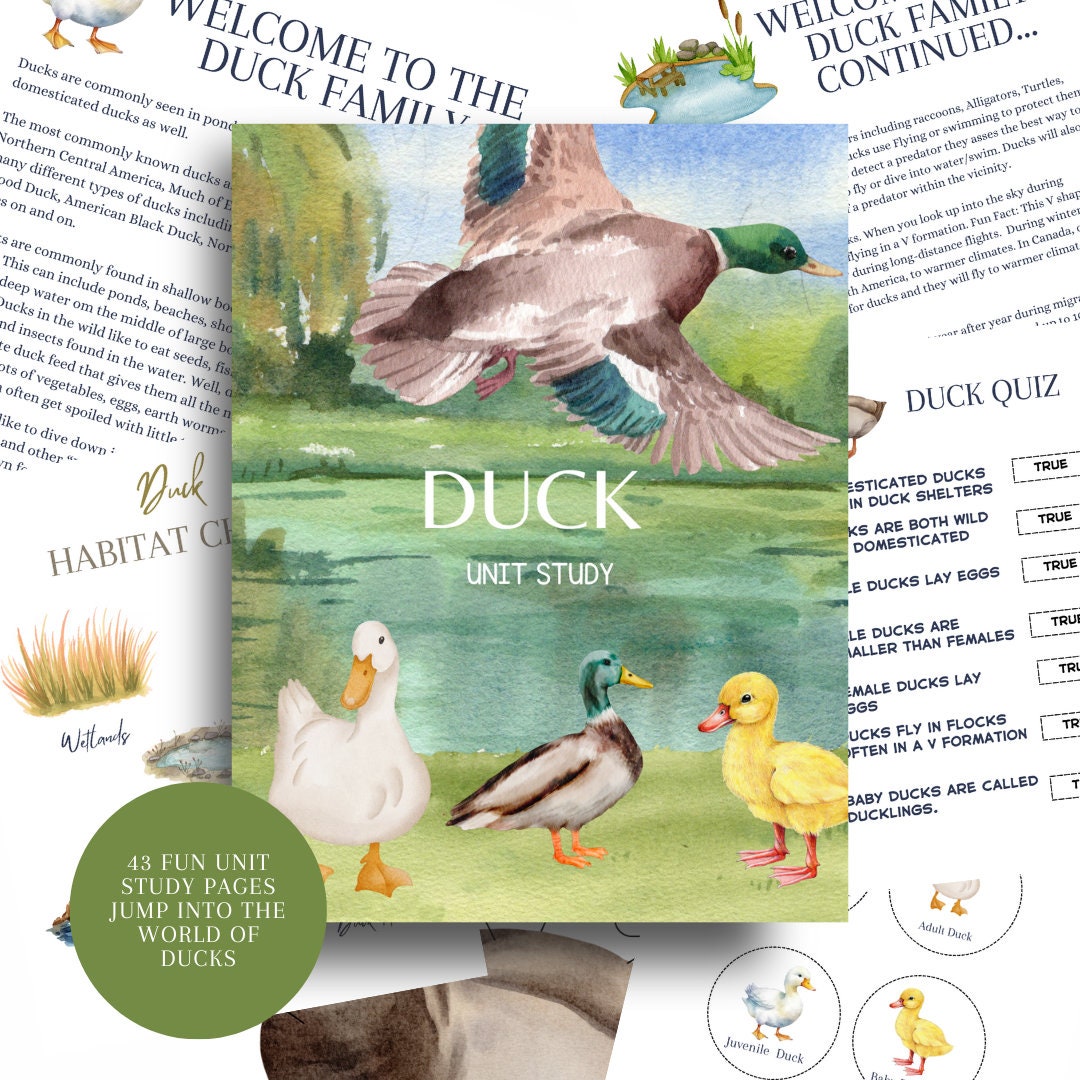 DUCK Unit Study| Life Cycle| Anatomy| Nature Study | Science ...