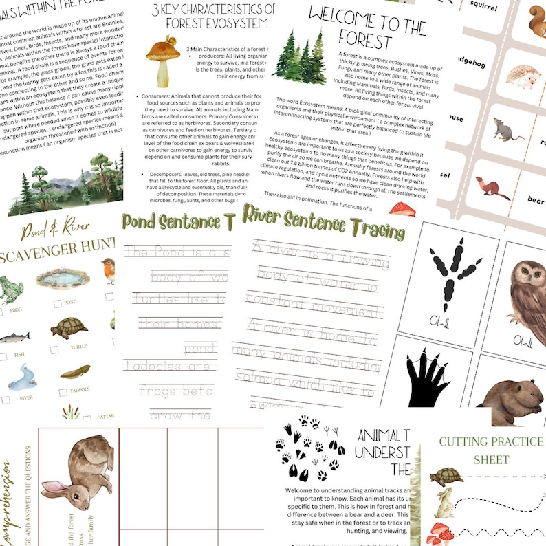 Forest Animal & Animal Tracks Unit Study | Educational | Homeschool ...