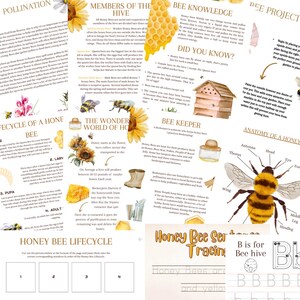 Honey Bees Unit Study | Life Cycle | Bees | Anatomy | Nature Study ...