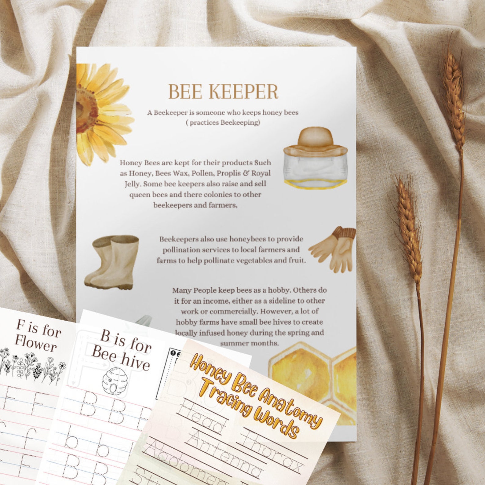 Honey Bees Unit Study | Life Cycle | Bees | Anatomy | Nature Study ...