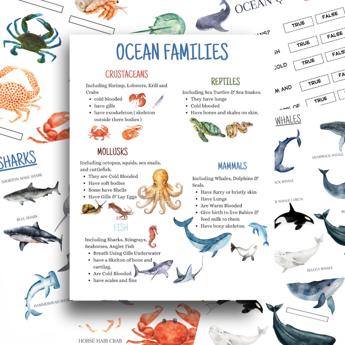 Ocean Unit Study | Nature School | Educational Printable | Homeschool ...