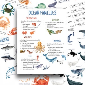 Ocean Unit Study | Nature School | Educational Printable | Homeschool ...