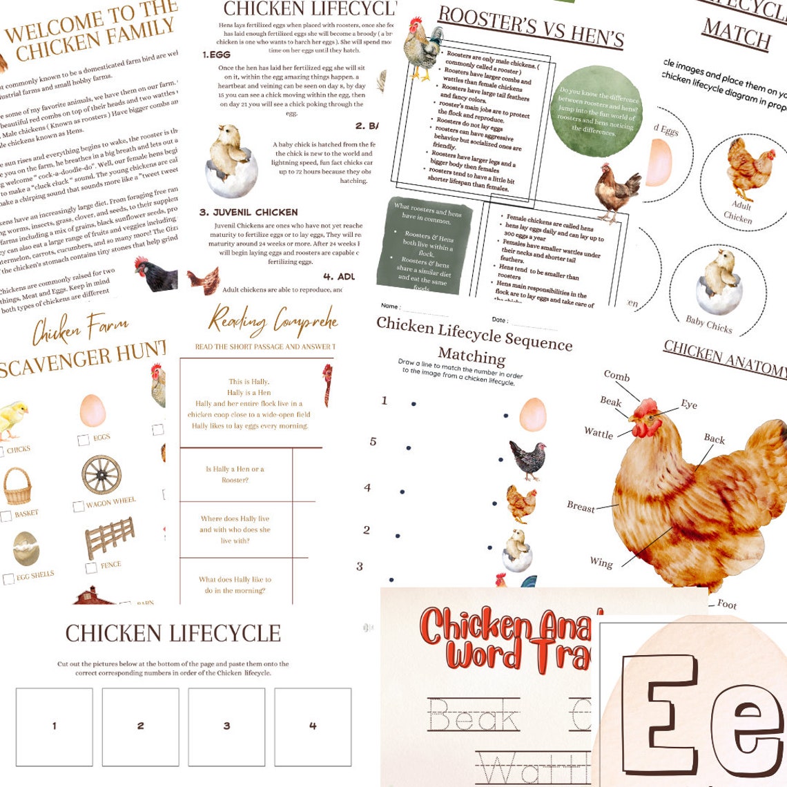 CHICKEN UNIT STUDY | Farm Life | Homeschool | Instant Downloadable Pdf ...