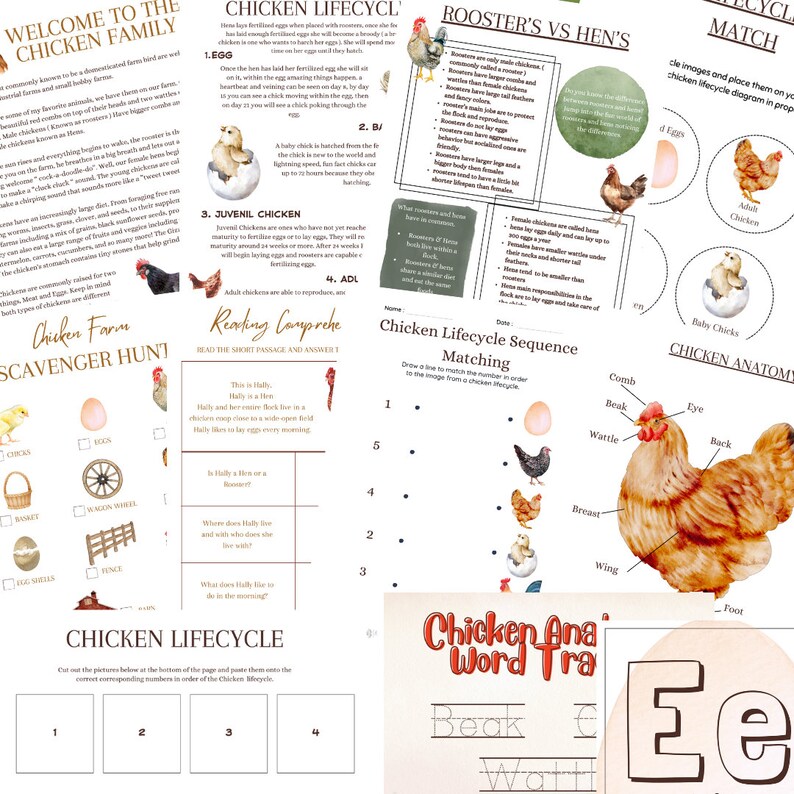CHICKEN UNIT STUDY | Farm Life | Homeschool | Instant Downloadable Pdf ...