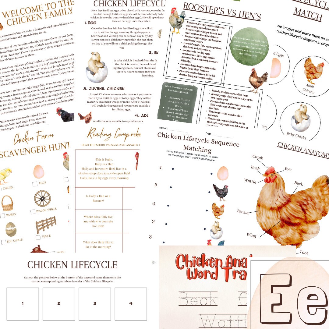 CHICKEN UNIT STUDY Farm Life Homeschool Instant Downloadable Pdf ...