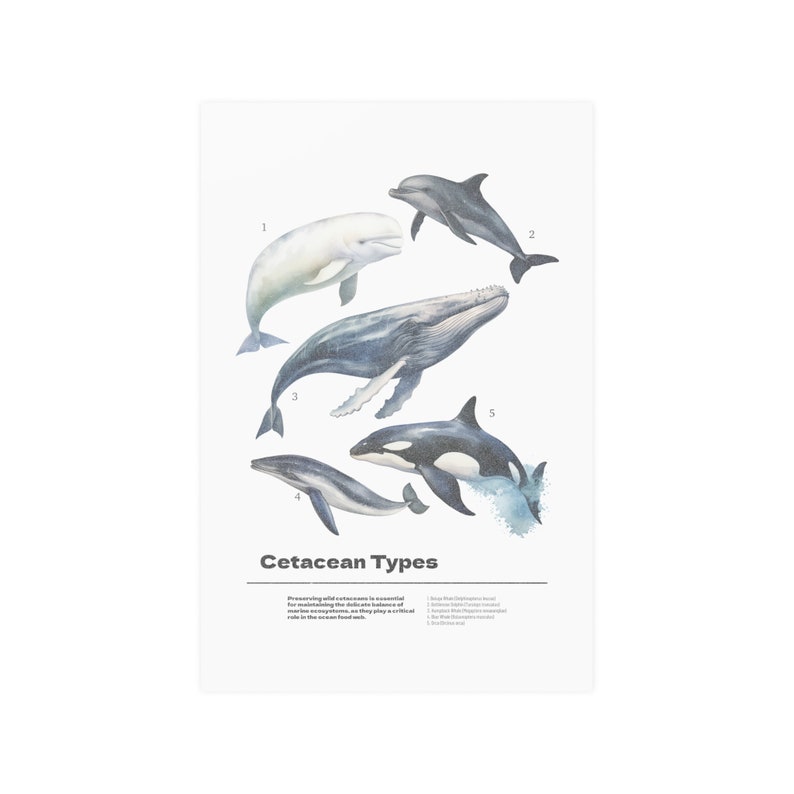 Types of Fish Poster With Different Types of Fish Satin Poster 210gsm ...