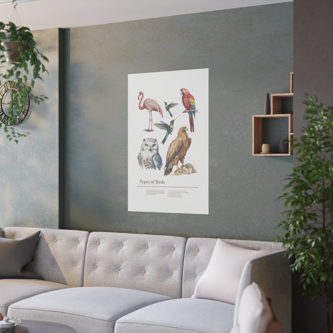 Types of Birds Poster With Different Types of Birds Satin Poster 210gsm ...