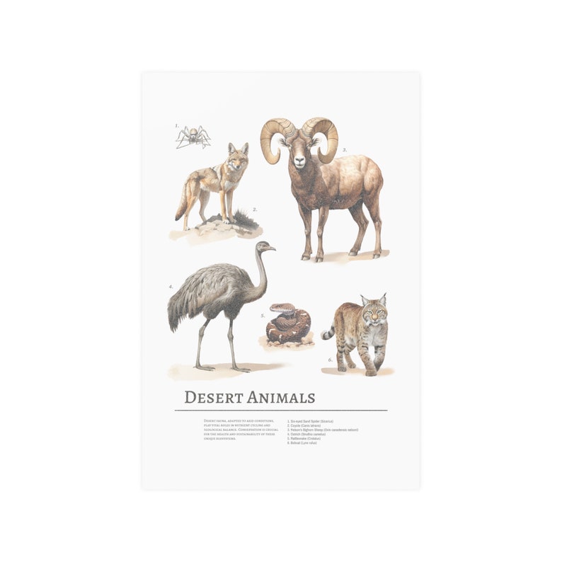 Types of Desert Animals Poster With Different Types of Desert Animals ...