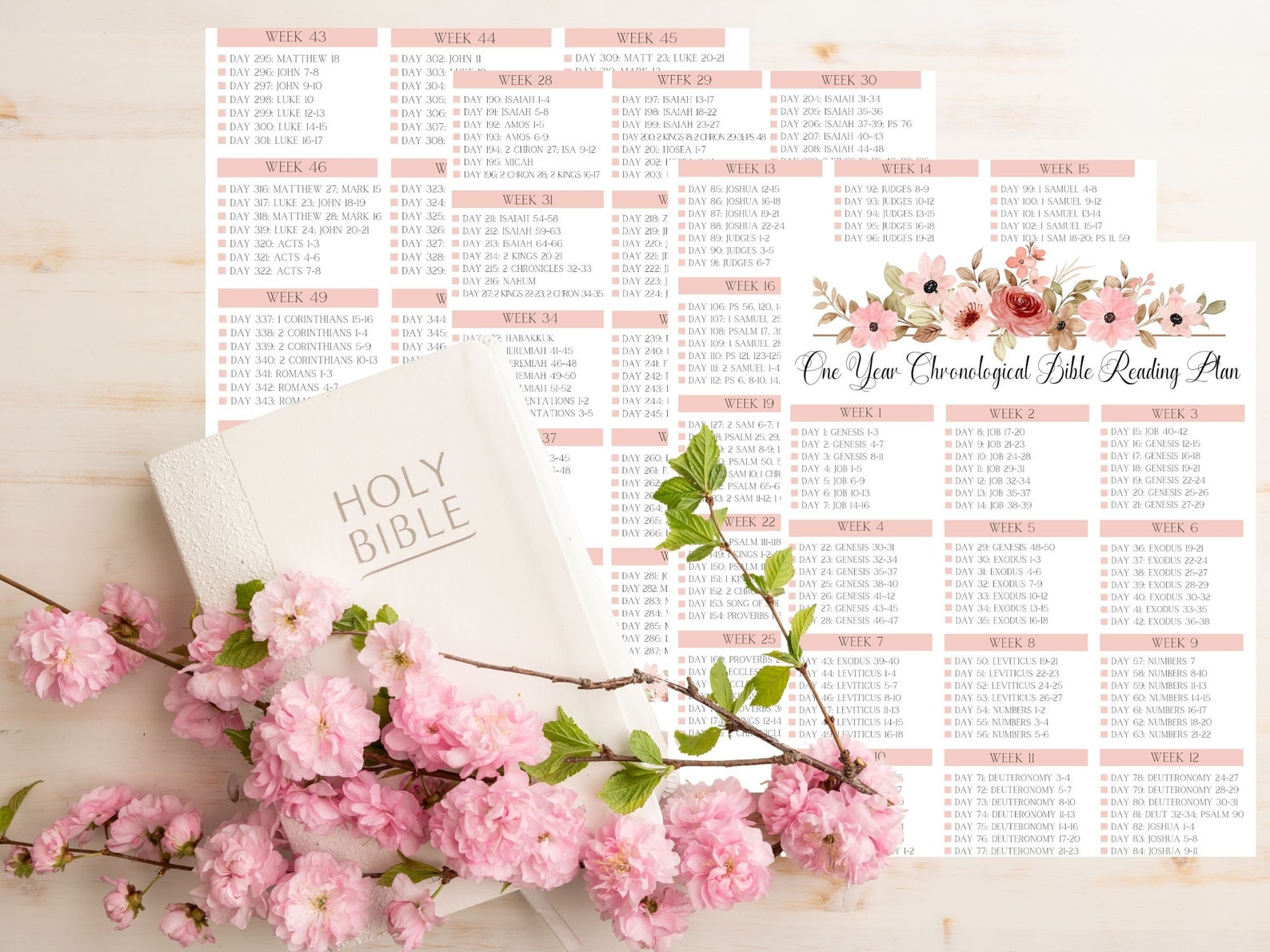 Chronological Bible Reading Plan Printable Bible Tracker One Year Bible ...