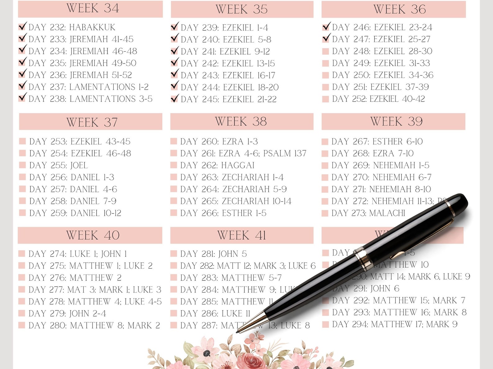 Chronological Bible Reading Plan Printable Bible Tracker One Year Bible ...