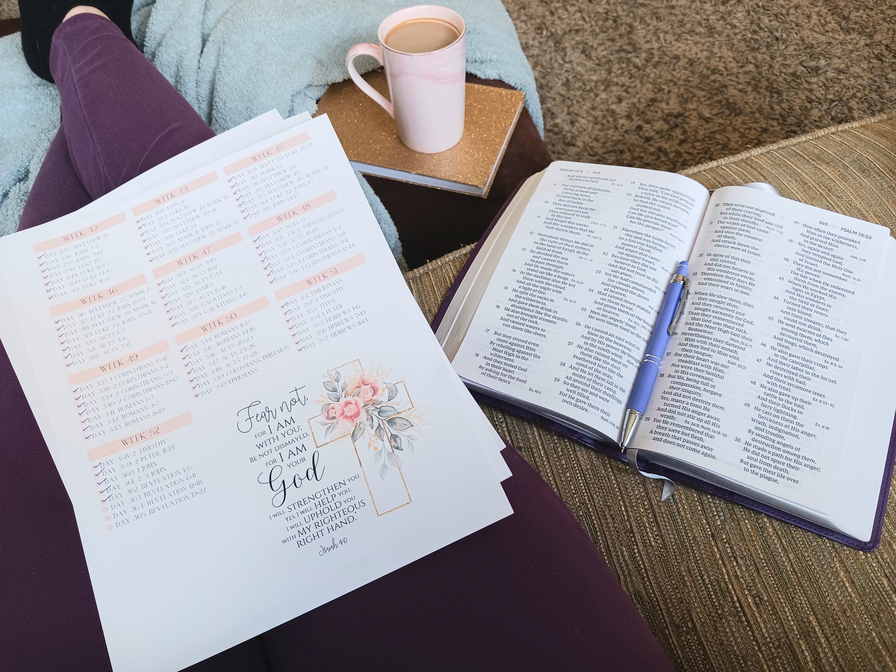 Chronological Bible Reading Plan Printable Bible Tracker One Year Bible ...