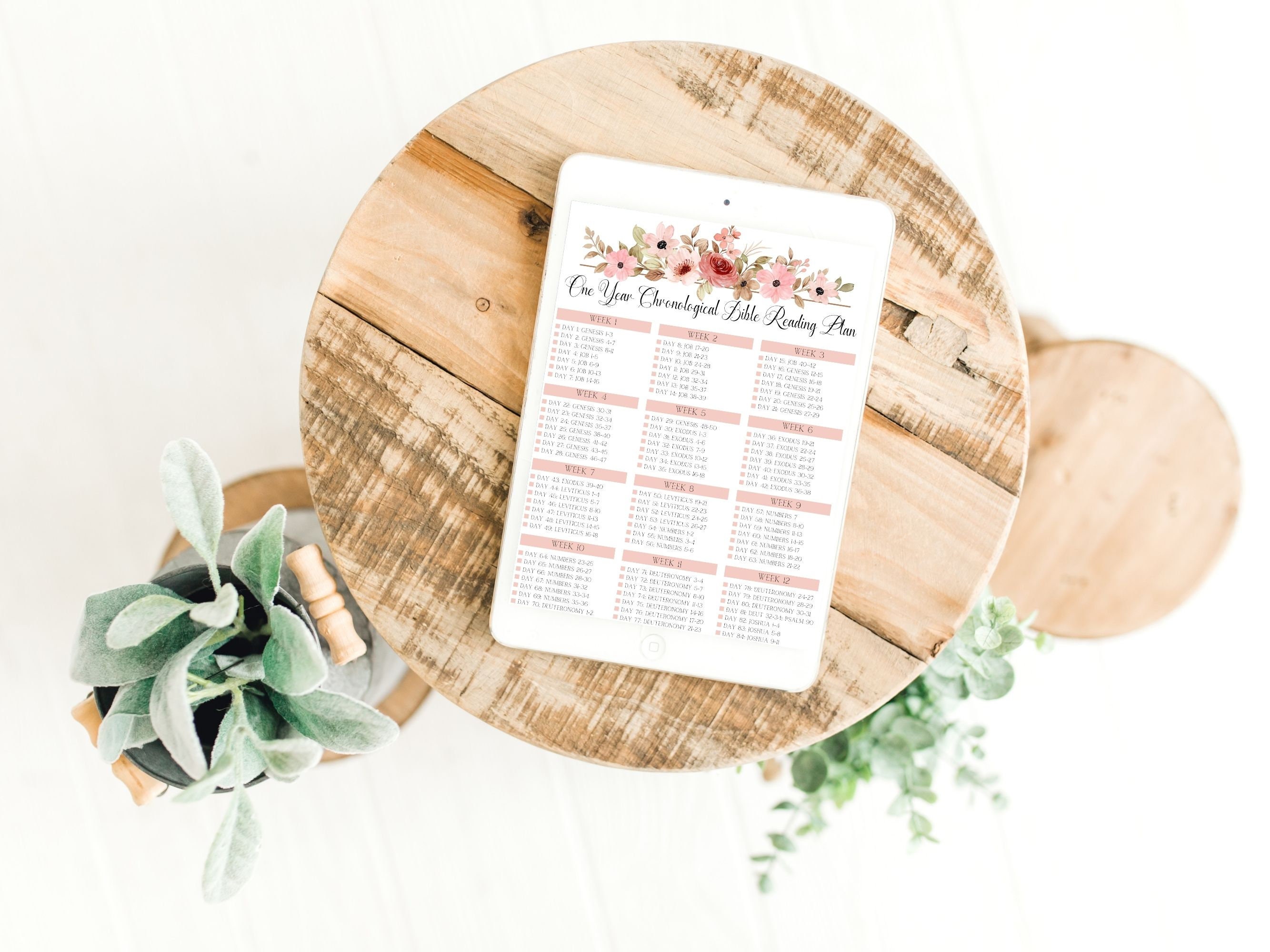 Chronological Bible Reading Plan Printable Bible Tracker One Year Bible ...