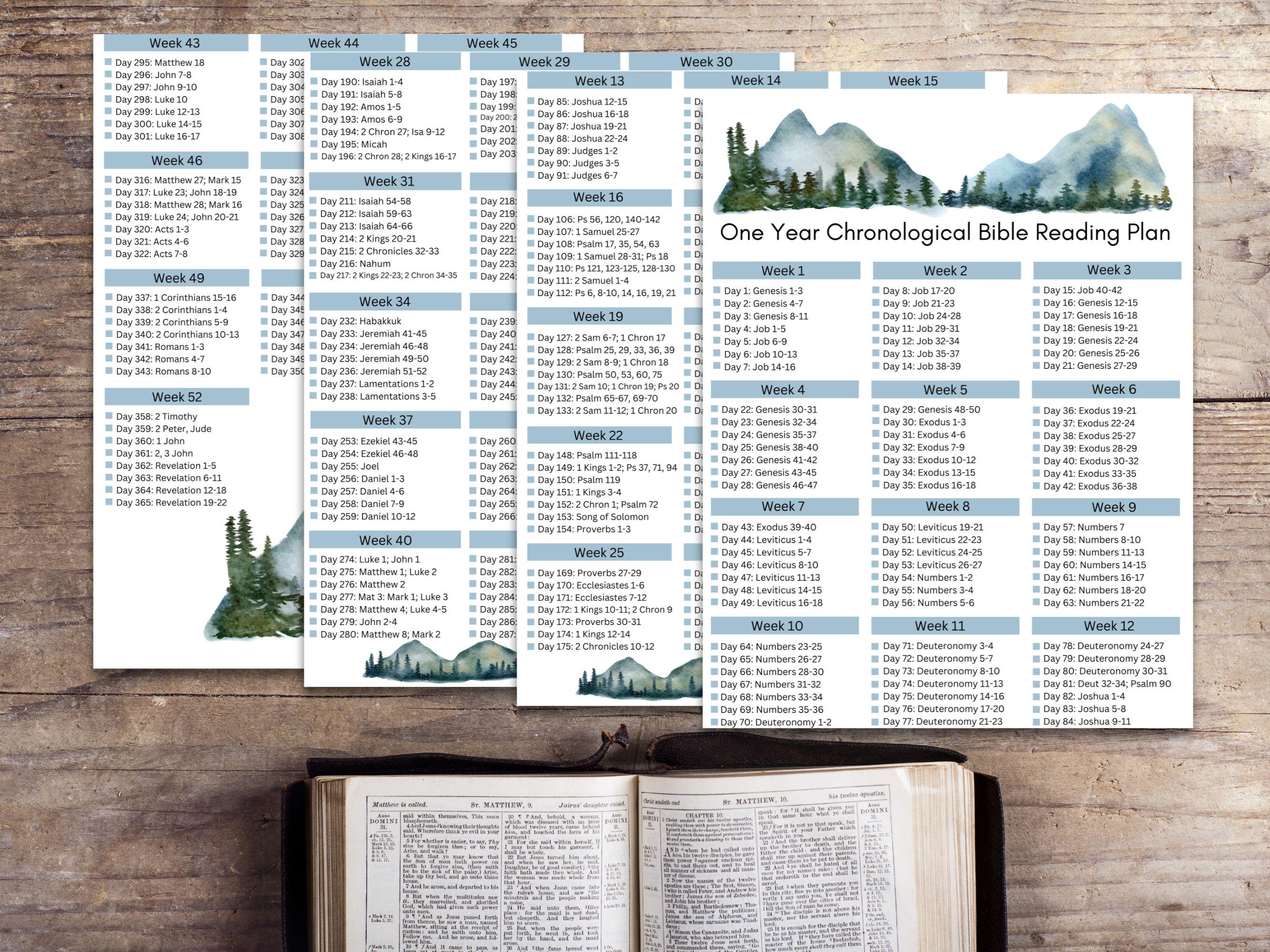 Bible Reading Plan One Year Bible Tracker for Men Bible Study ...
