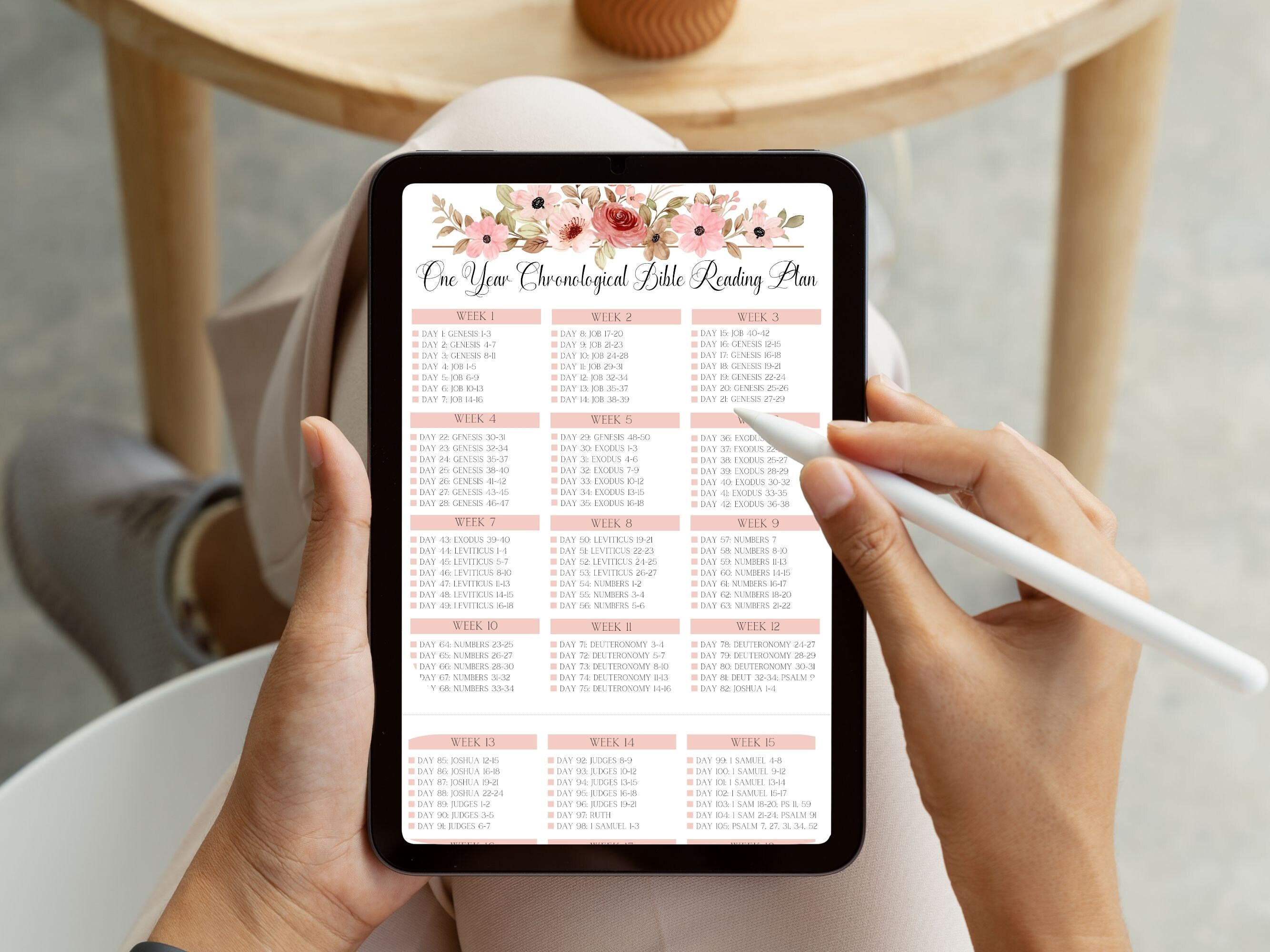 Chronological Bible Reading Plan Printable Bible Tracker One Year Bible ...