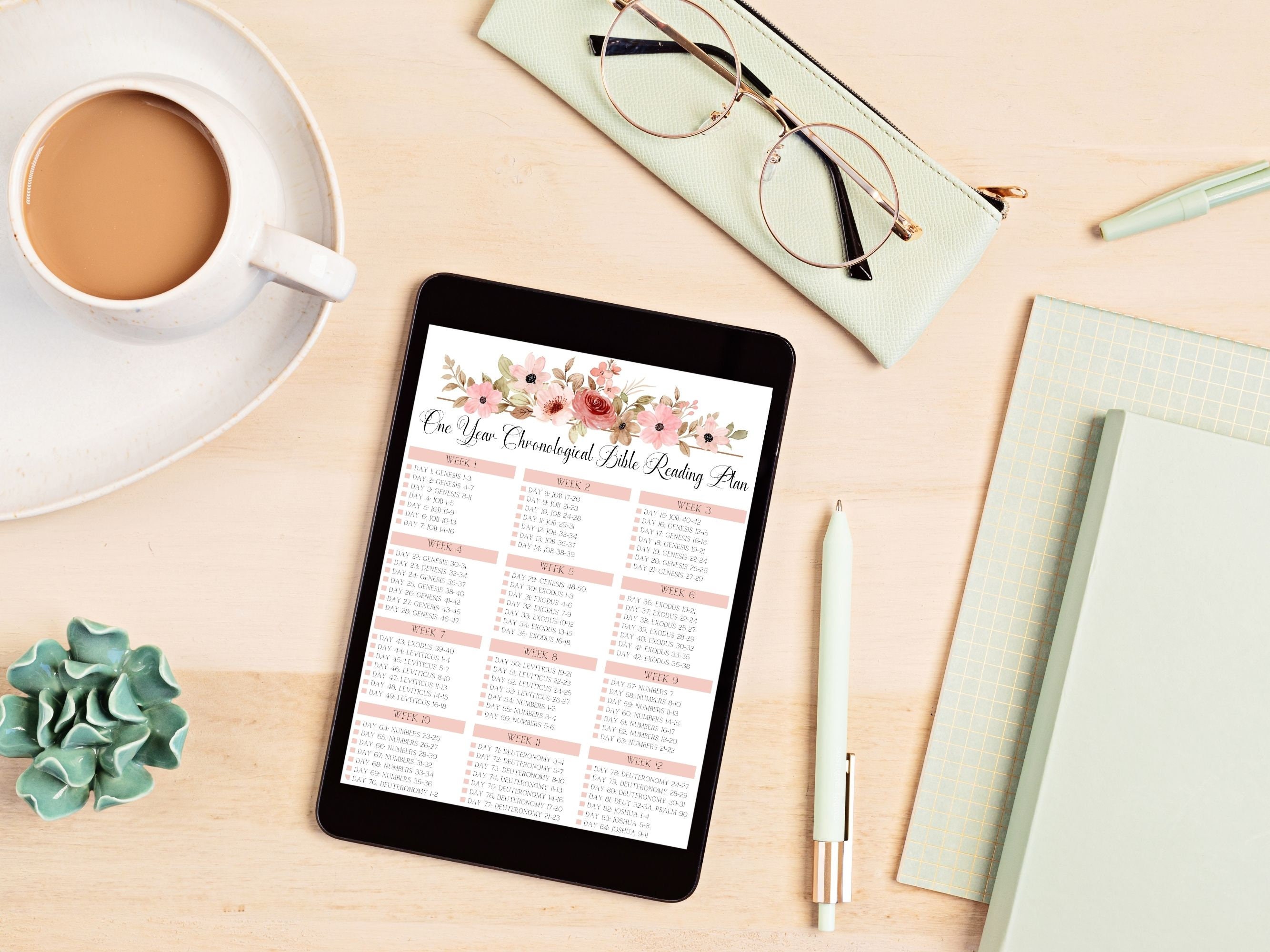 Chronological Bible Reading Plan Printable Bible Tracker One Year Bible ...