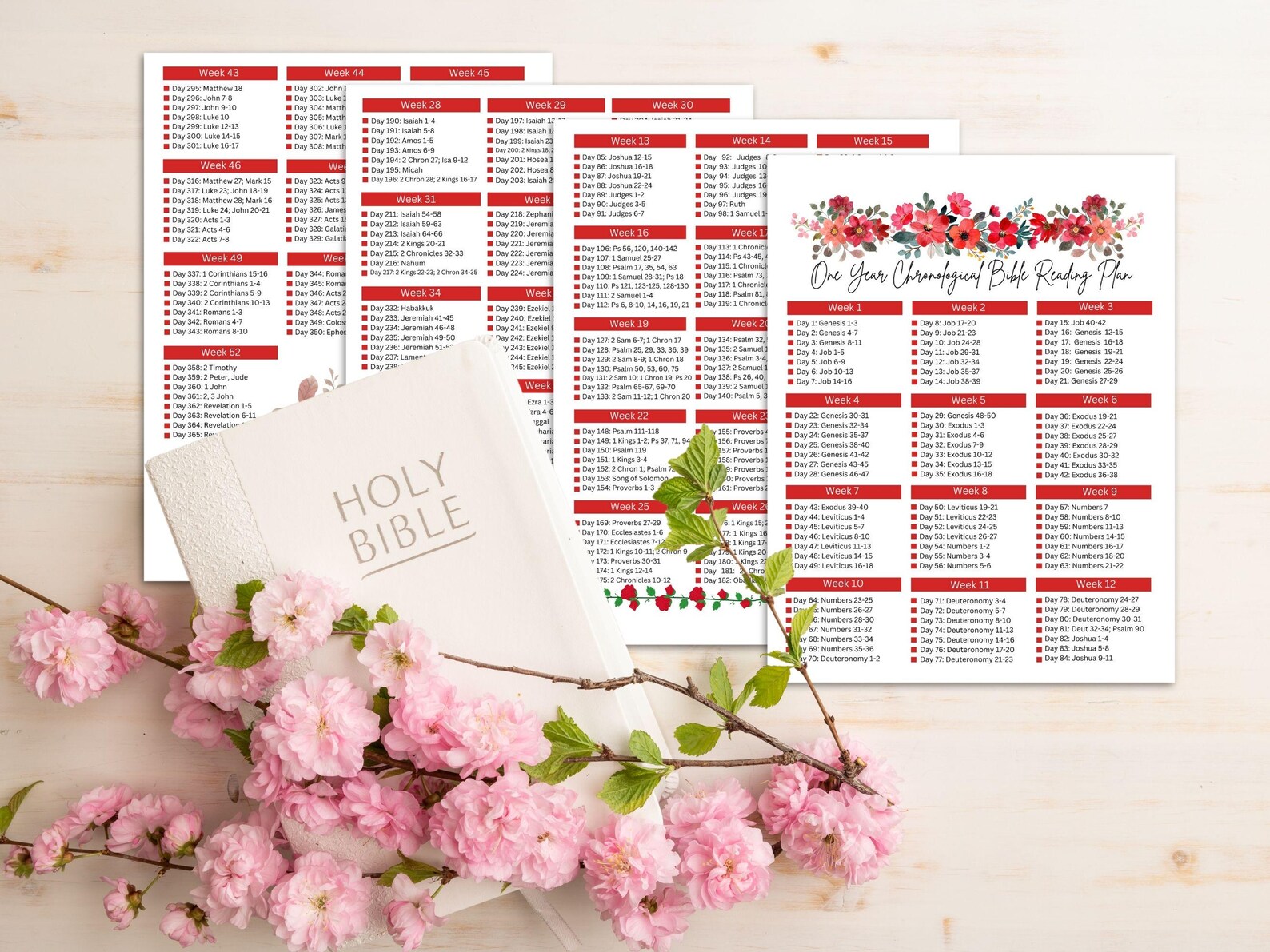 One Year Bible Reading Checklist Printable Bible Plan Chronological 52 ...