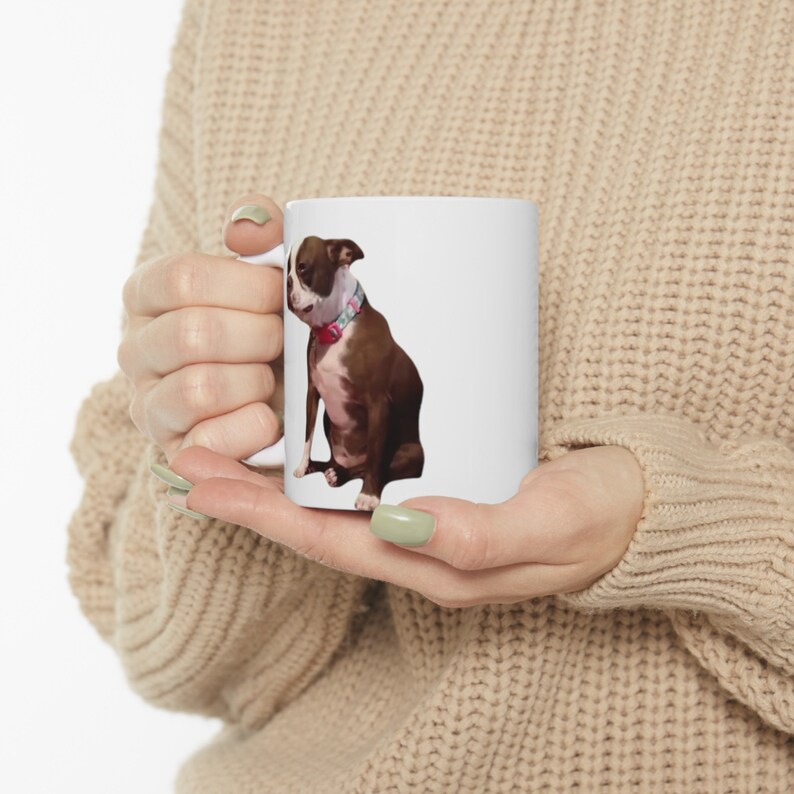Crying Boston Terrier Dog Meme, Funny Mug, Meme Humor Mug, Silly Mug ...