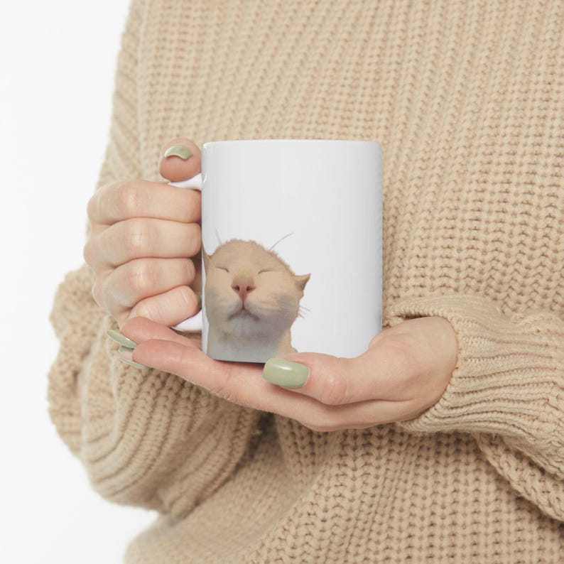 Eepy Cat Meme Mug Funny Silly Modern Gift Self Aware Coffee Quirky ...