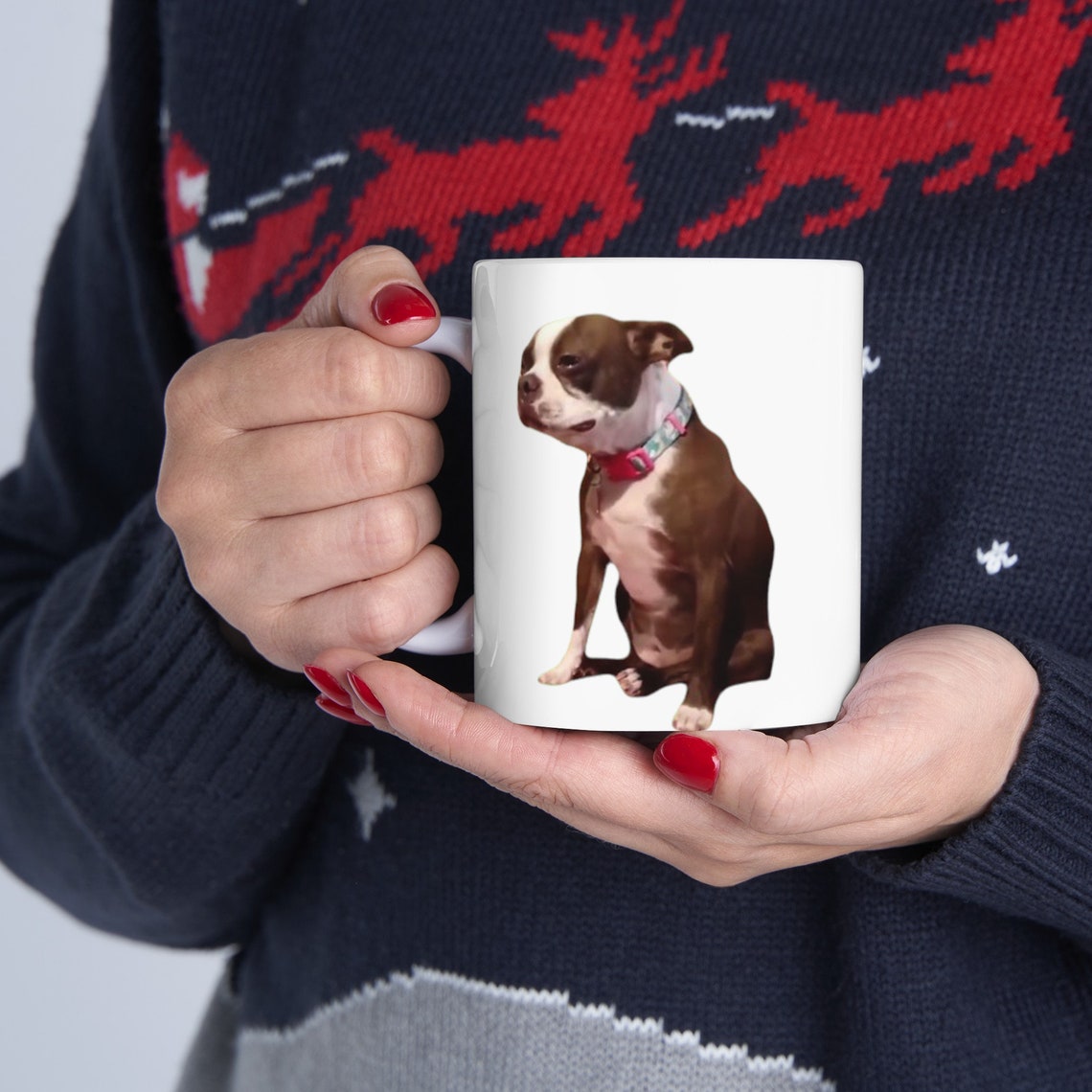 Crying Boston Terrier Dog Meme, Funny Mug, Meme Humor Mug, Silly Mug ...