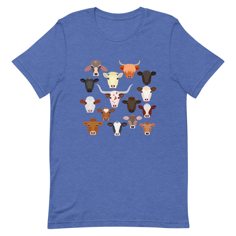 Market Steer, Cattle, Cow, Multi Breeds, Show, Livestock Show - Unisex ...