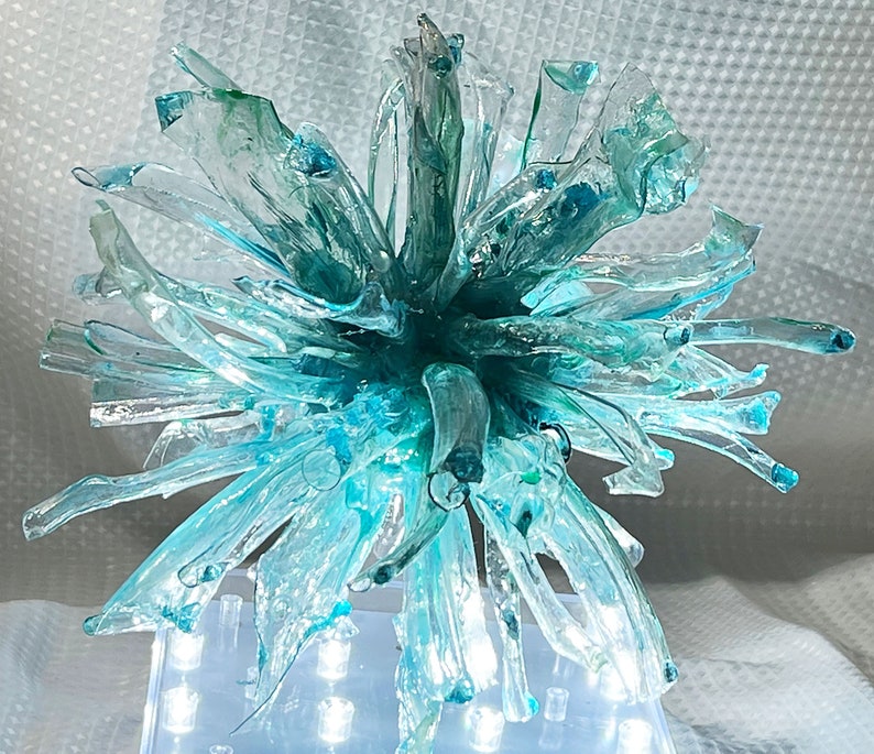 Teal Star - Etsy