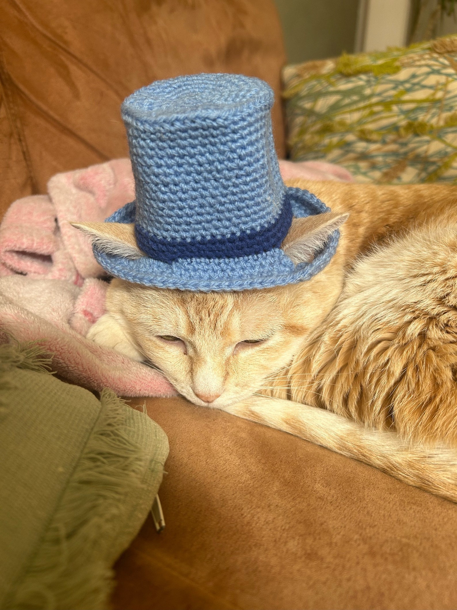 Crochet Cat Top Hat Pattern: Pet Costume With Ear Holes (PDF Pattern - Etsy