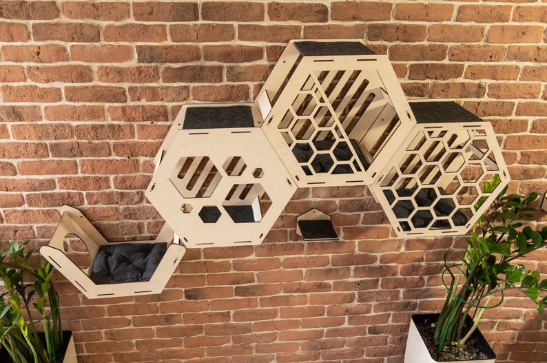 Hexagon Cat Wall Shelves & Cat Wall Steps, Cat Wall Tree With ...