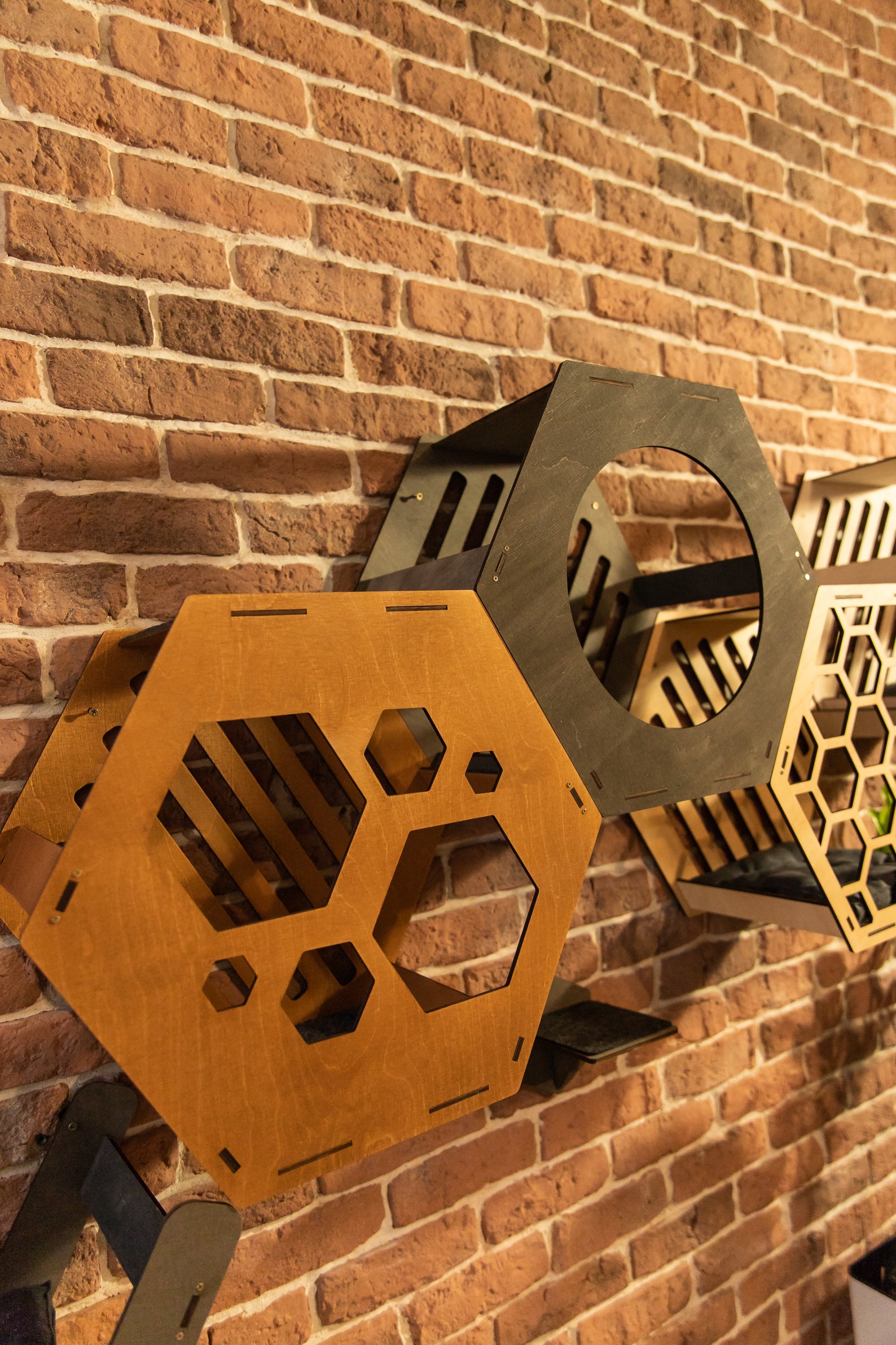 Hexagon Cat Wall Shelves & Cat Wall Steps, Cat Wall Tree With ...