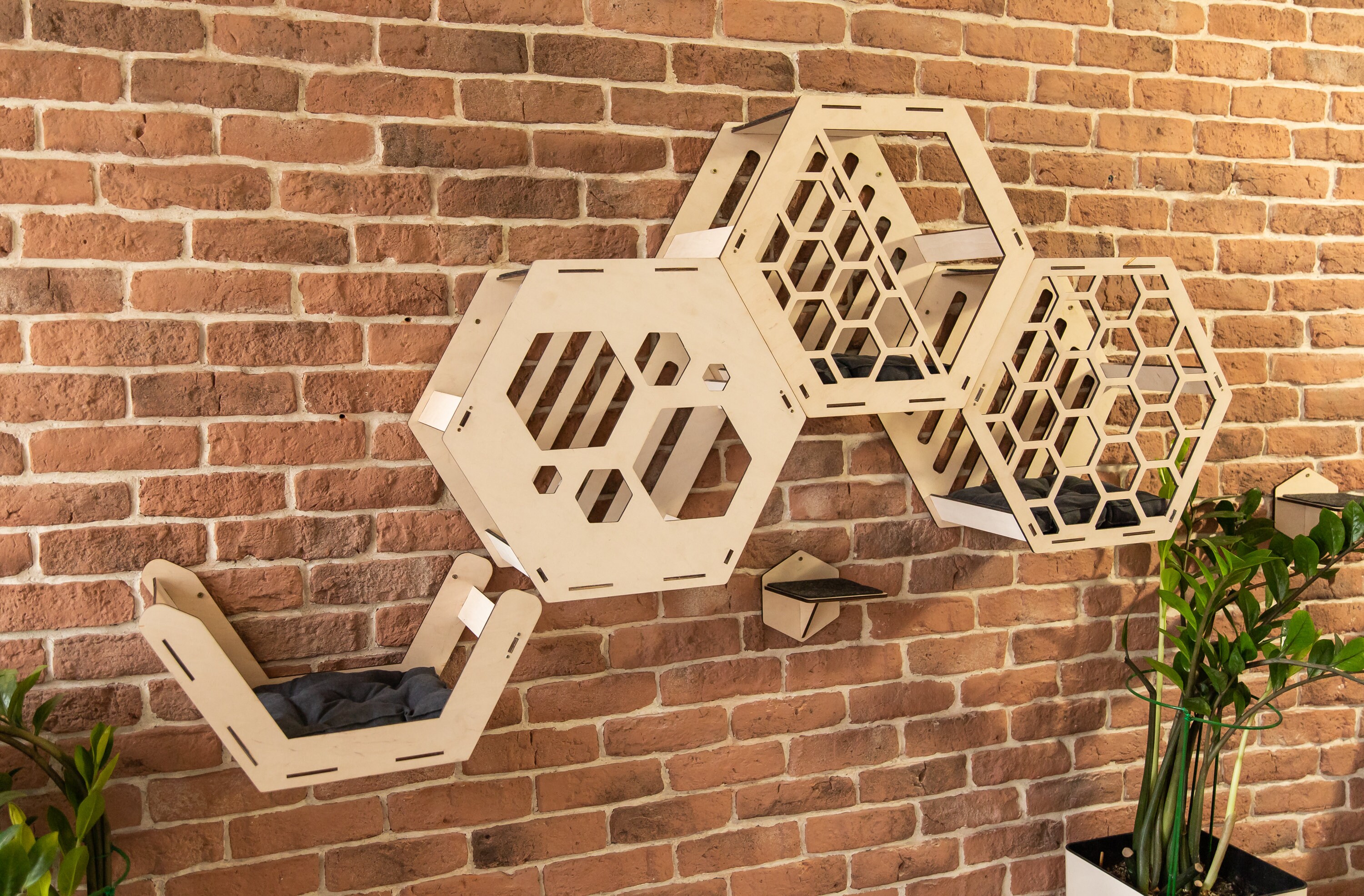 Hexagon Cat Wall Shelves & Cat Wall Steps, Cat Wall Tree With ...